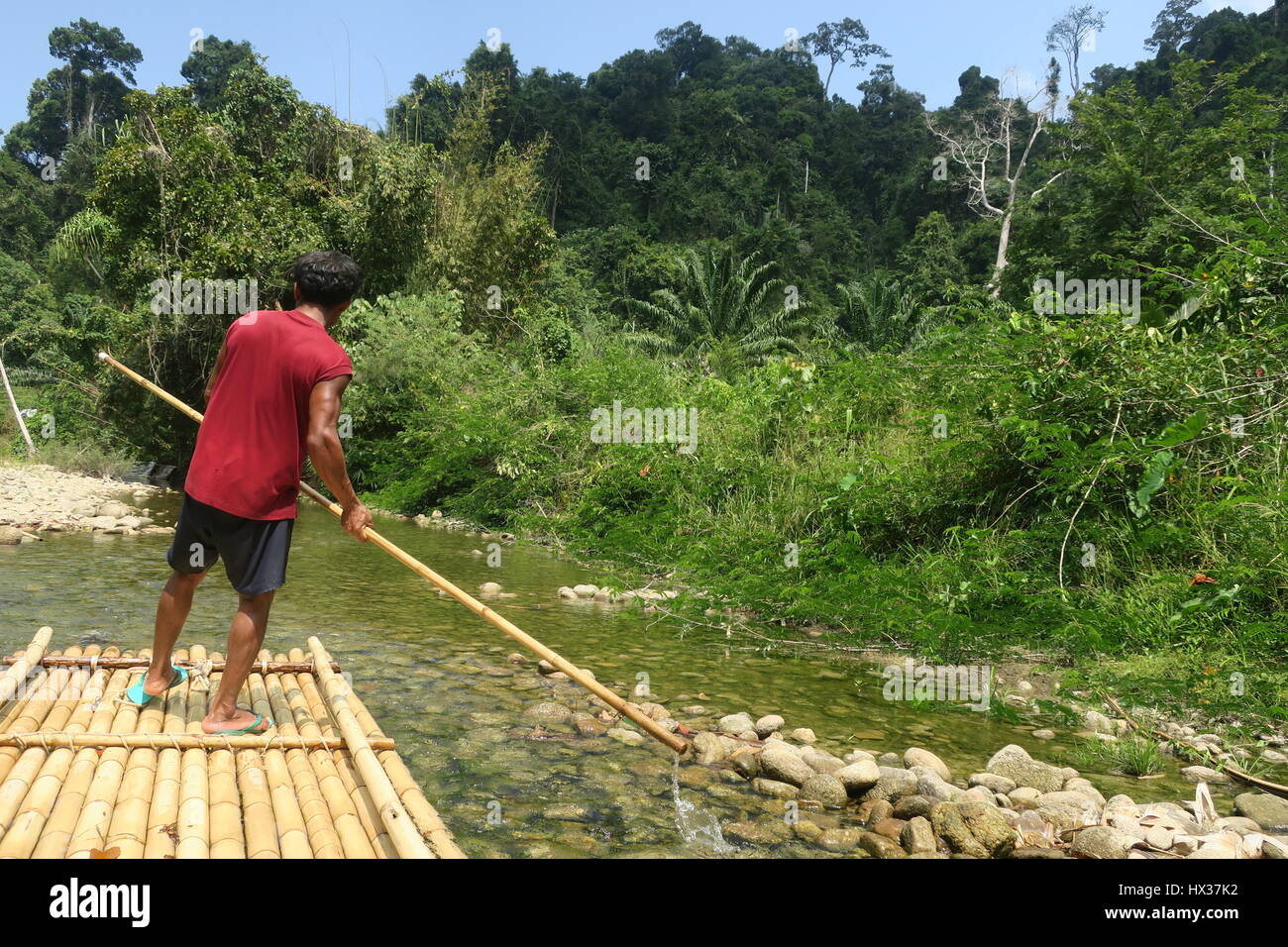 Man, standing on bamboo raft, with bamboo stick in his hand is floating ...