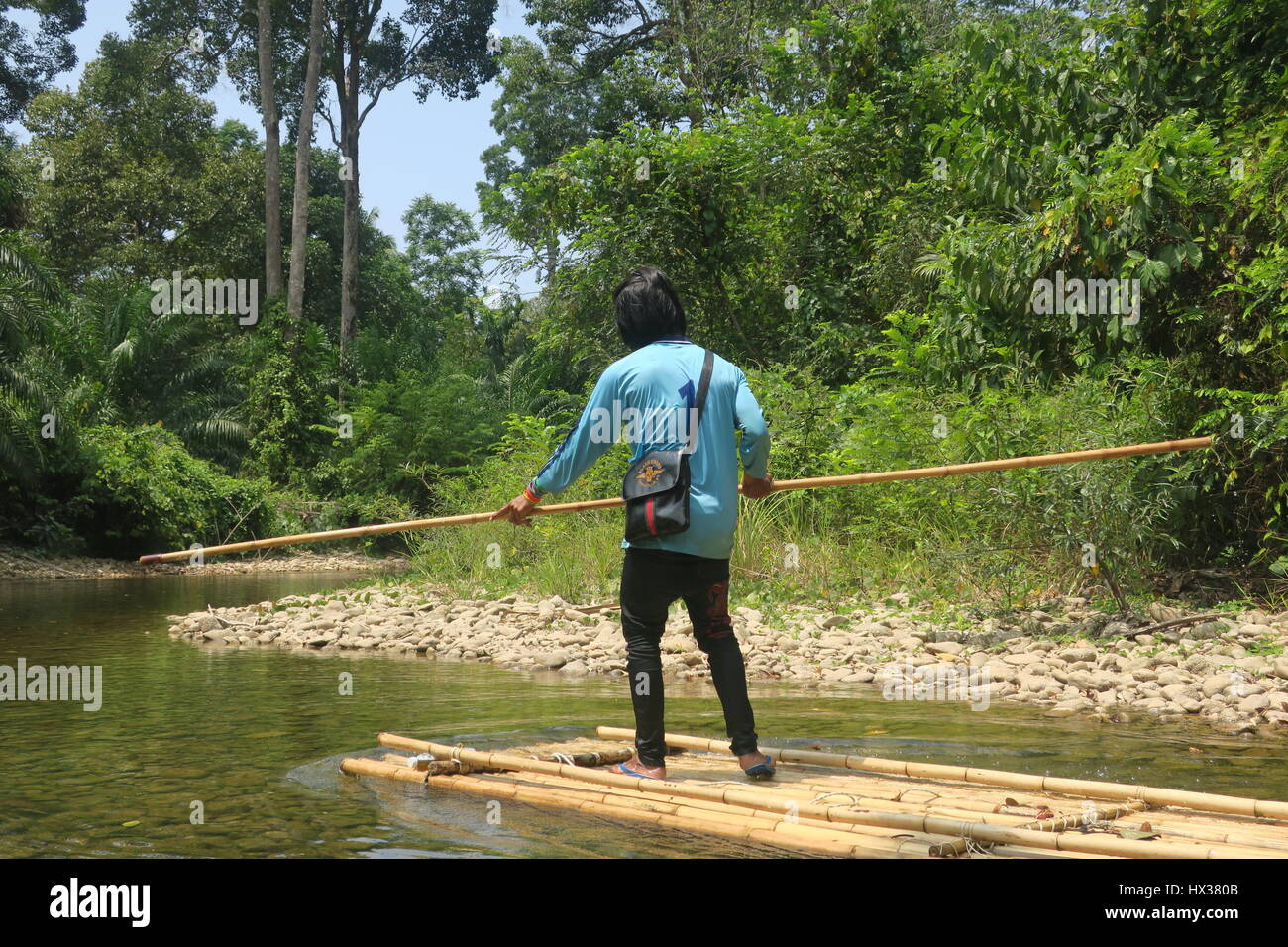 Man, standing on bamboo raft, with bamboo stick in his hand is floating ...