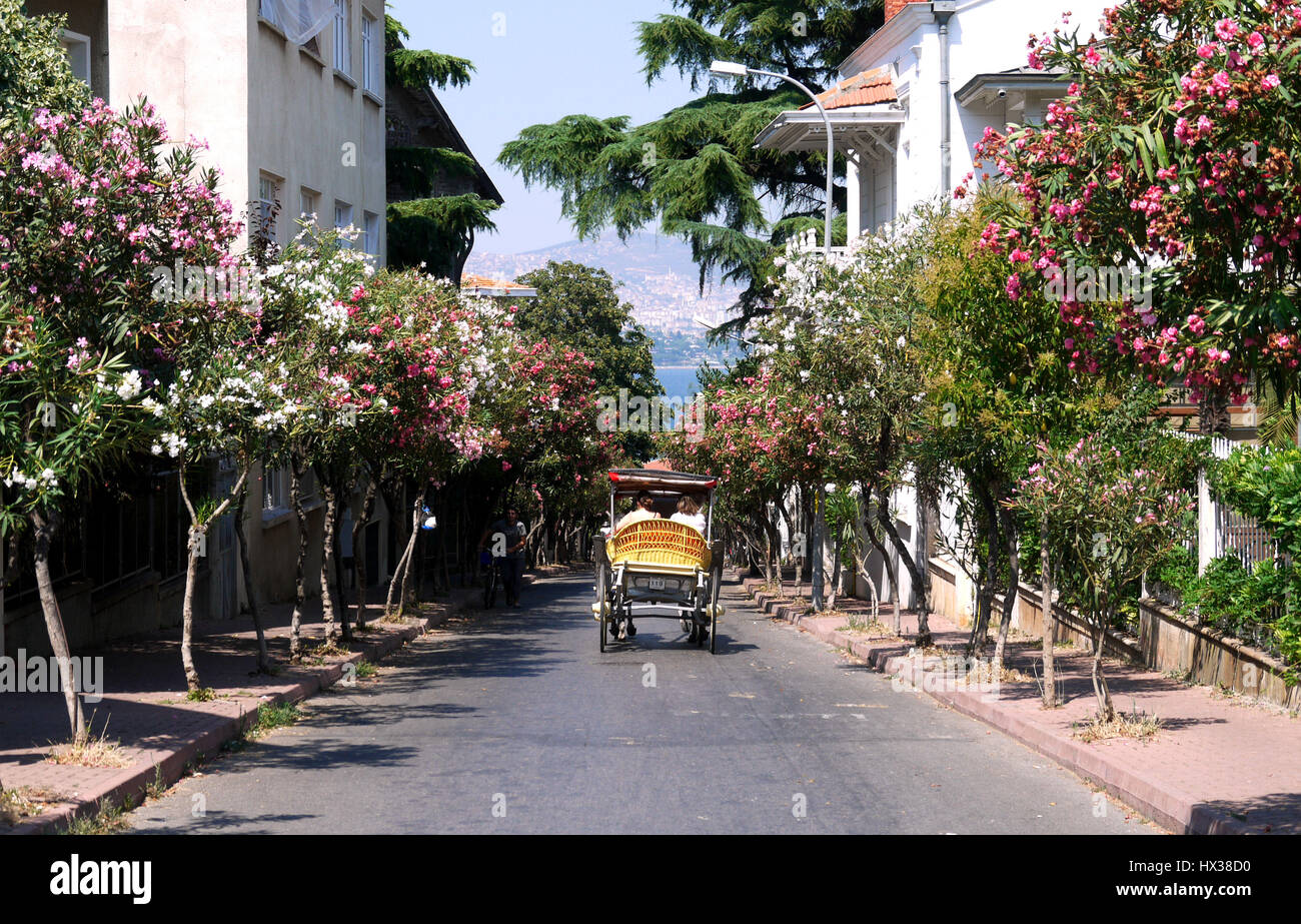 Buyukada Street Scene, Turkey Stock Photo - Alamy