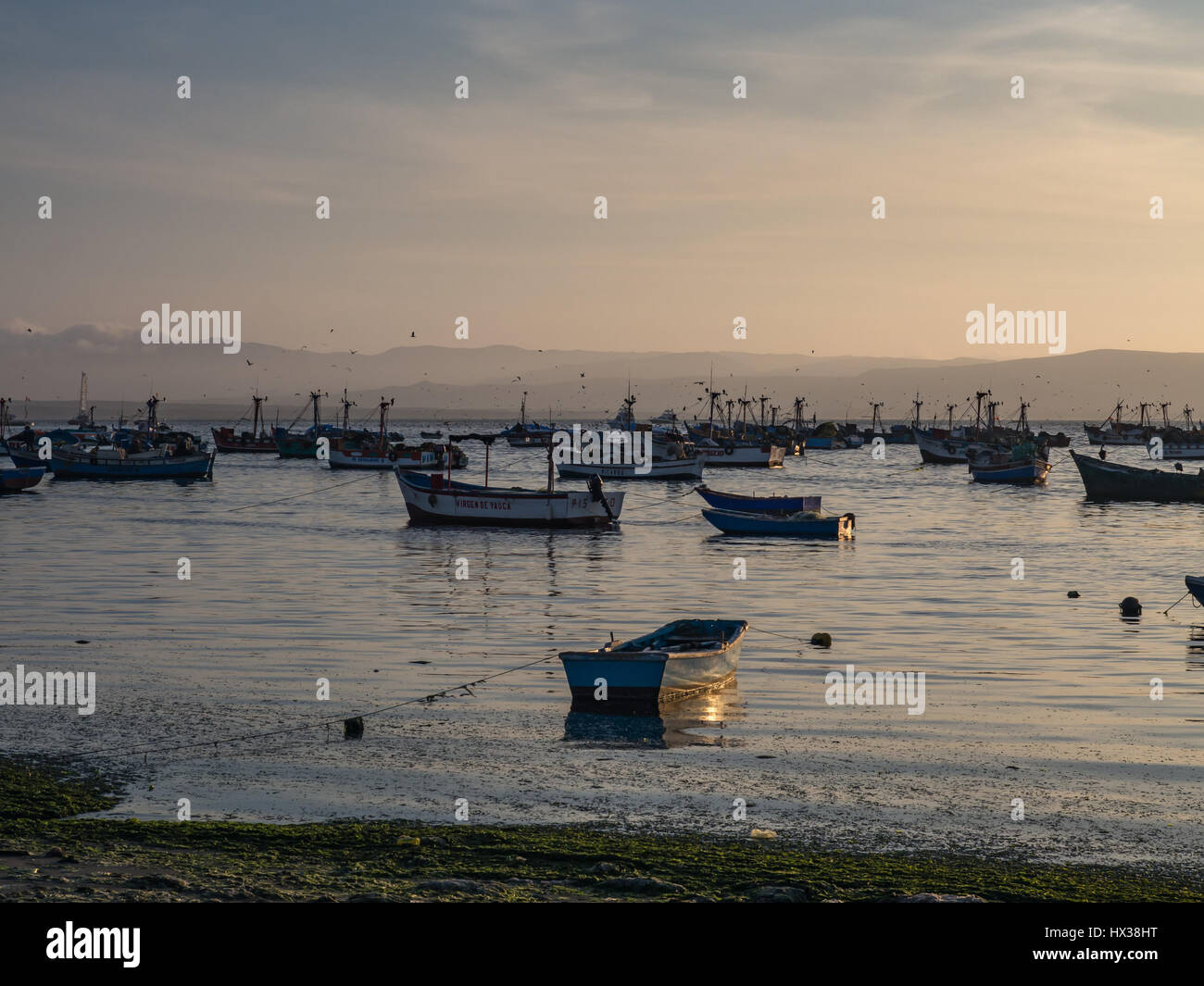 Paracas National Reserve. Paracas fishing port Stock Photo - Alamy