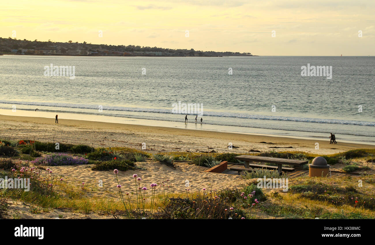 Del monte beach monterey california hi-res stock photography and images ...