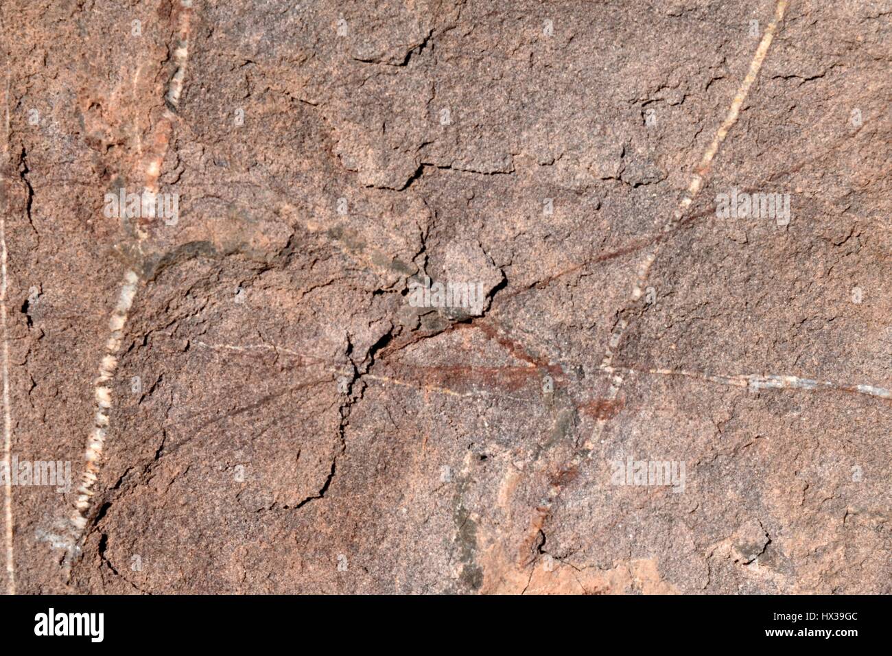 A rough slab of coarse sandstone with calcite veins and iron staining ...