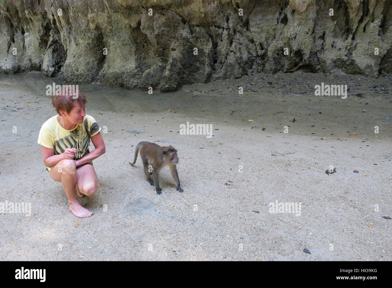 A close up shot af a tourist with monkey on a sandy beach on Panak ...