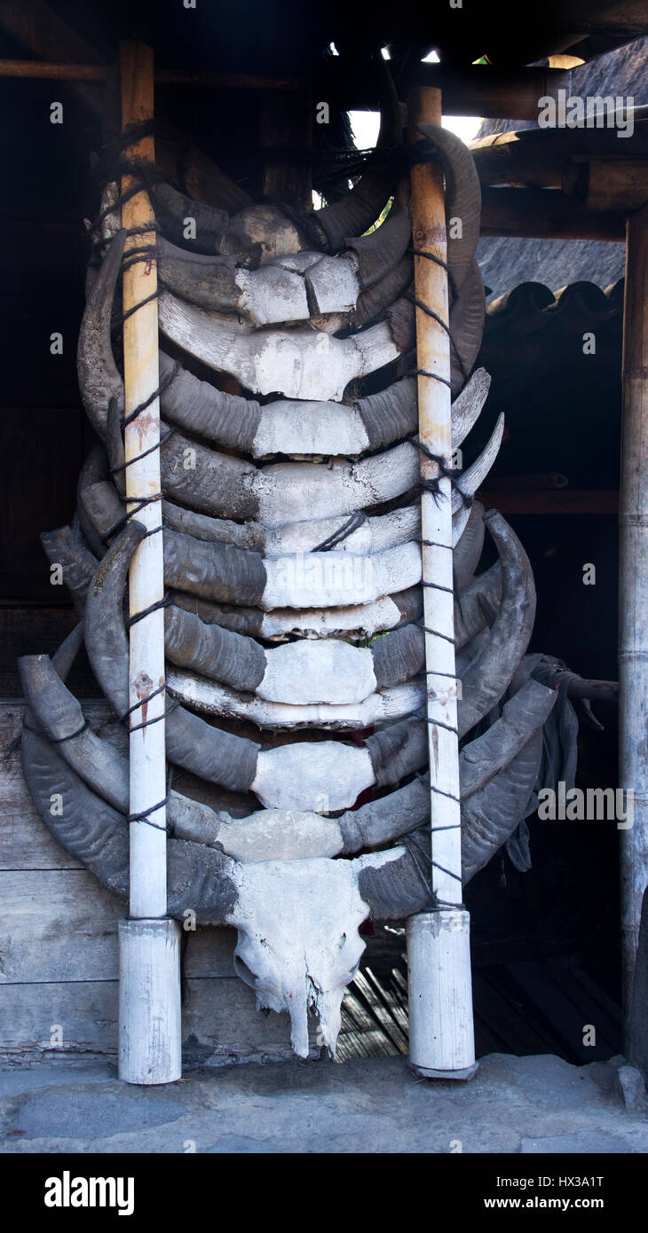 Grey and white cow hi-res stock photography and images - Alamy