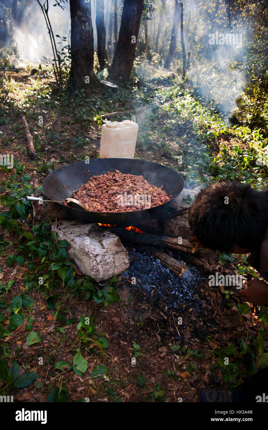 Campfire Cooking Meat
