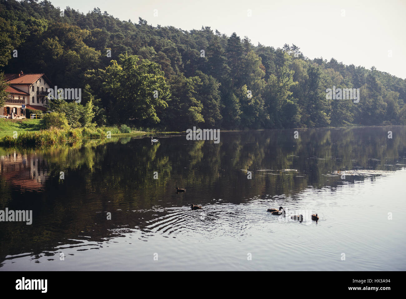 Zurskie Lake - reservoir on a Wda River in Tlen village, Swiecie County ...