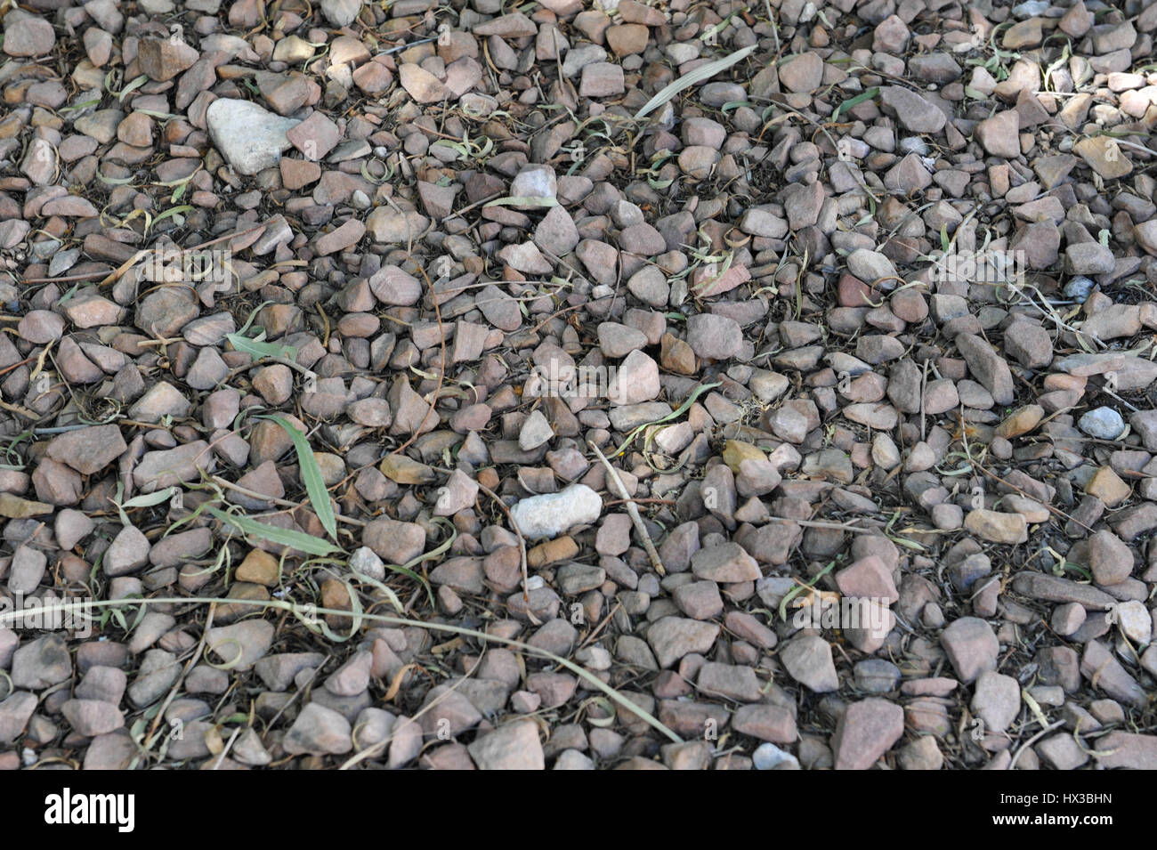 Rocks on the path Stock Photo - Alamy