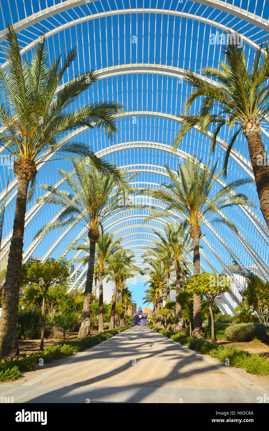 Umbracle umbracle l hi-res stock photography and images - Alamy