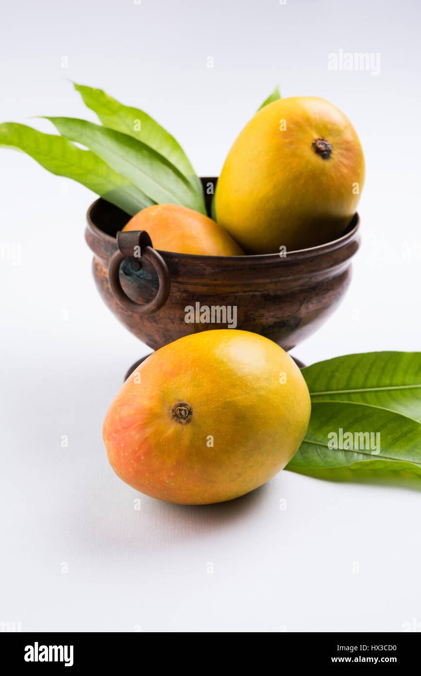 King of fruits; Alphonso yellow Mango fruit duo with stems and green ...