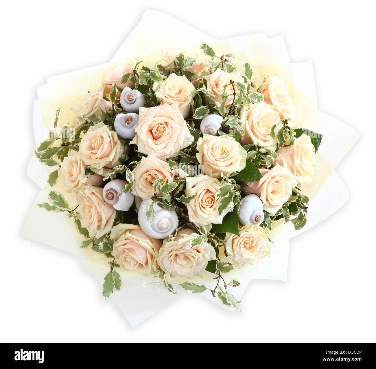 Floristic composition with pink roses and seashells. The isolated image ...