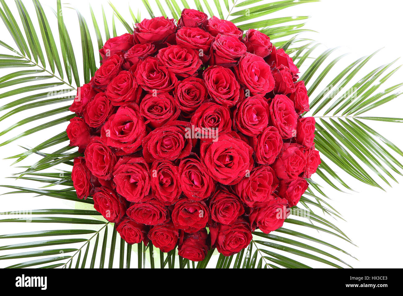 A large bouquet of red roses. The isolated image on a white background ...