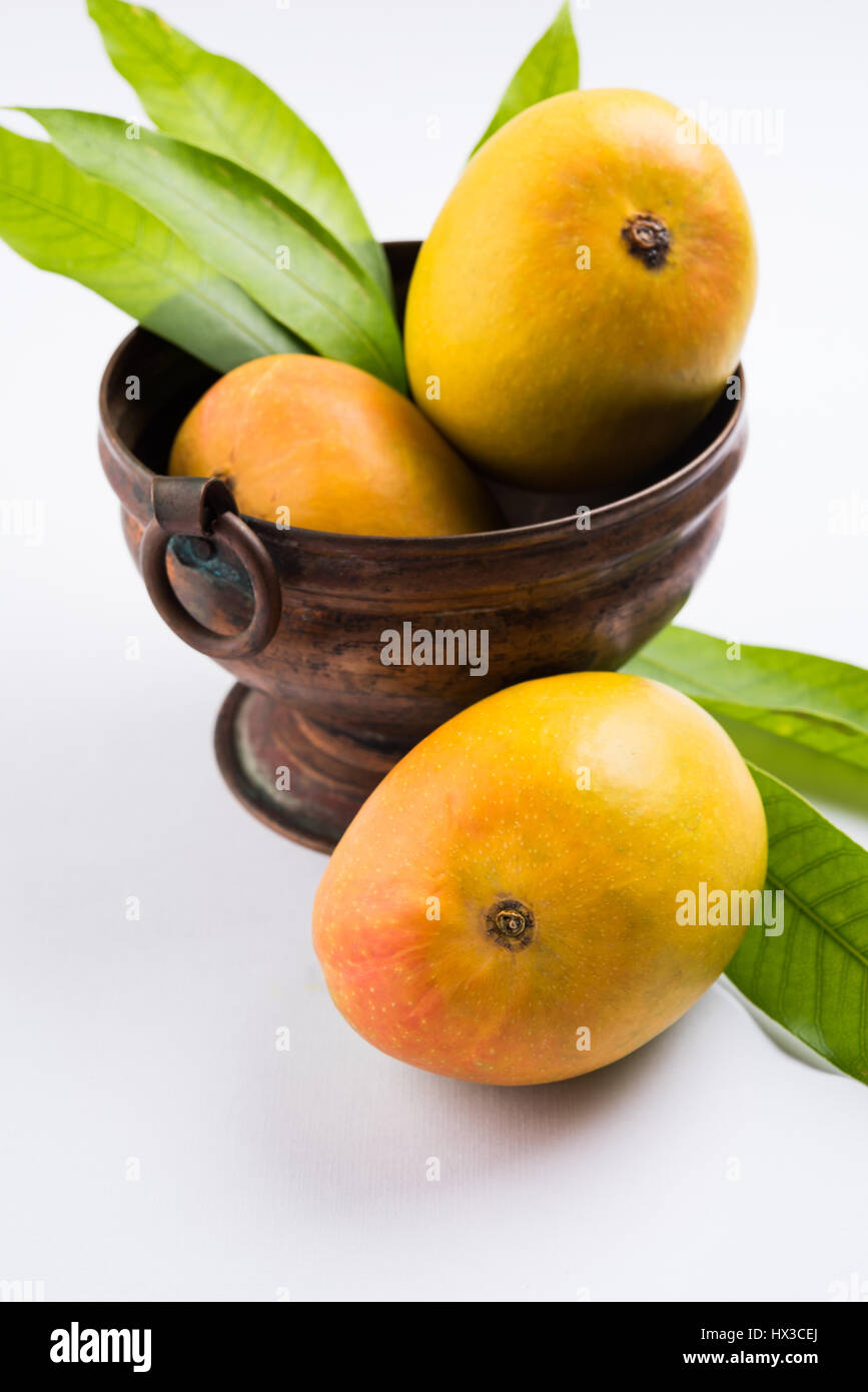 King of fruits; Alphonso yellow Mango fruit duo with stems and green ...