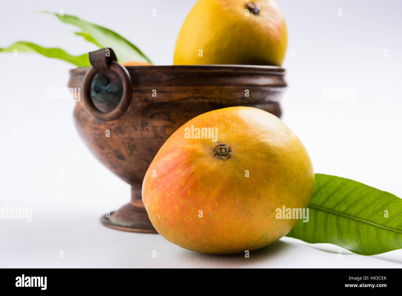 King of fruits; Alphonso yellow Mango fruit duo with stems and green ...