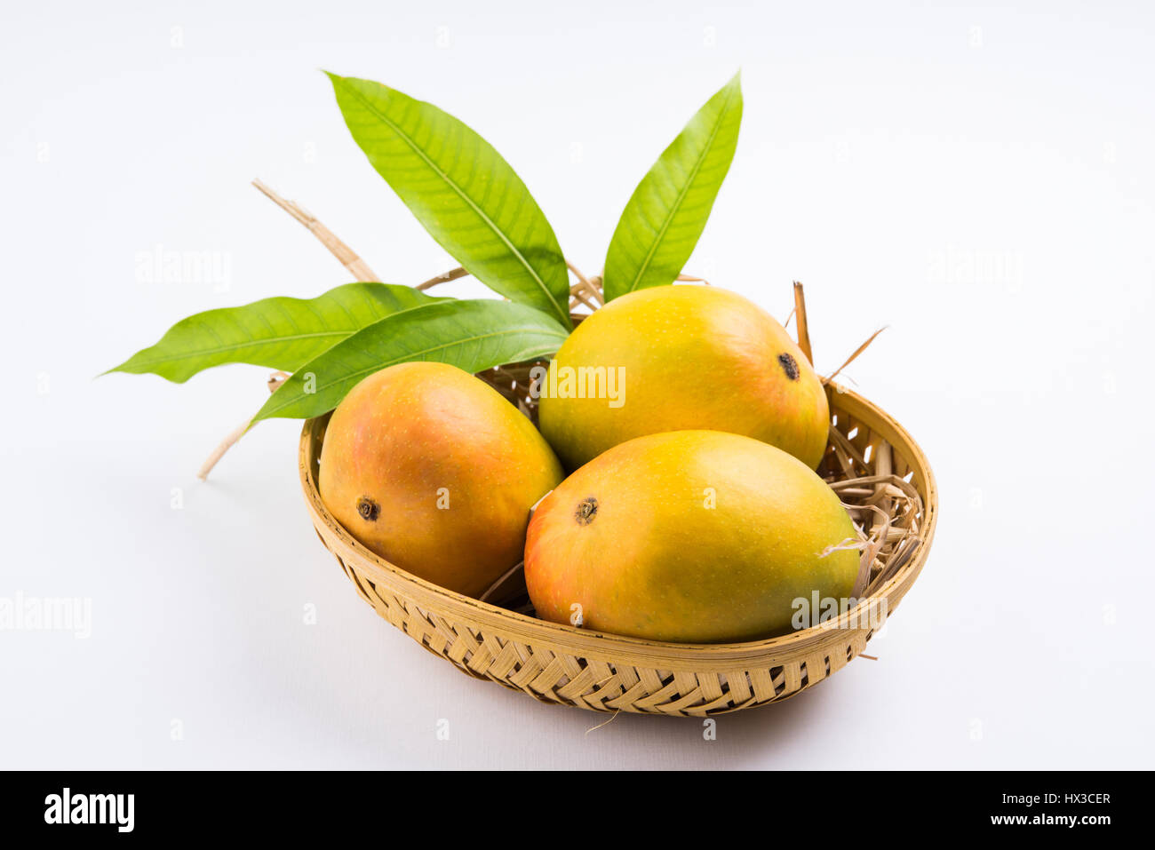 King of fruits; Alphonso yellow Mango fruit duo with stems and green ...