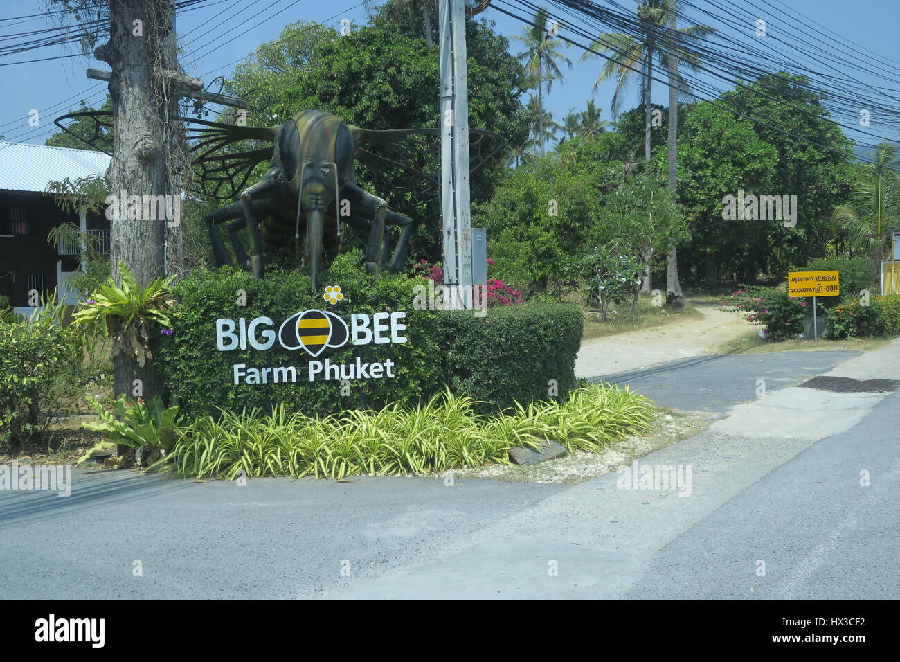 Big bee farm on Phuket Stock Photo - Alamy