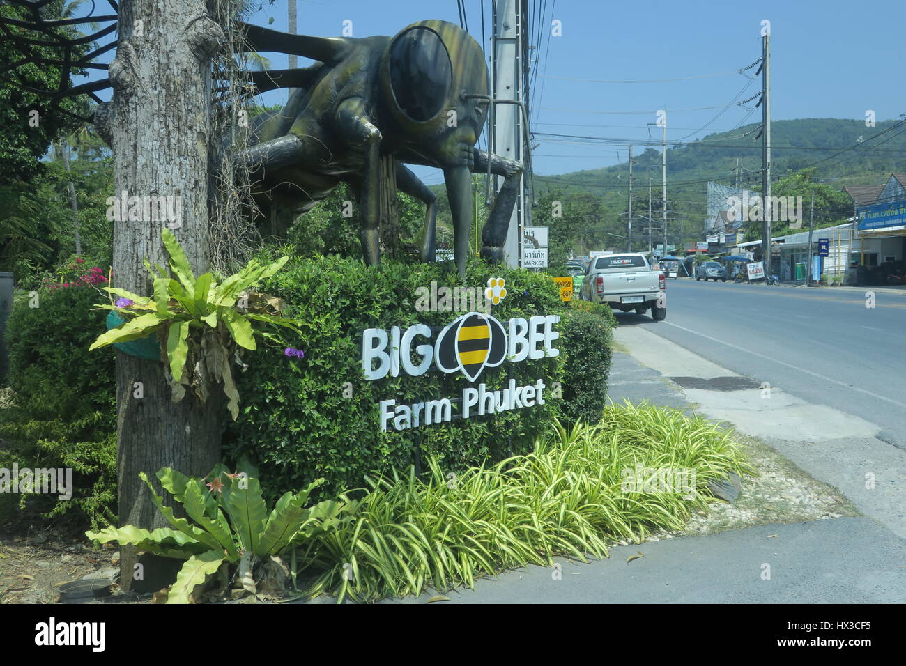 Big bee farm on Phuket Stock Photo - Alamy
