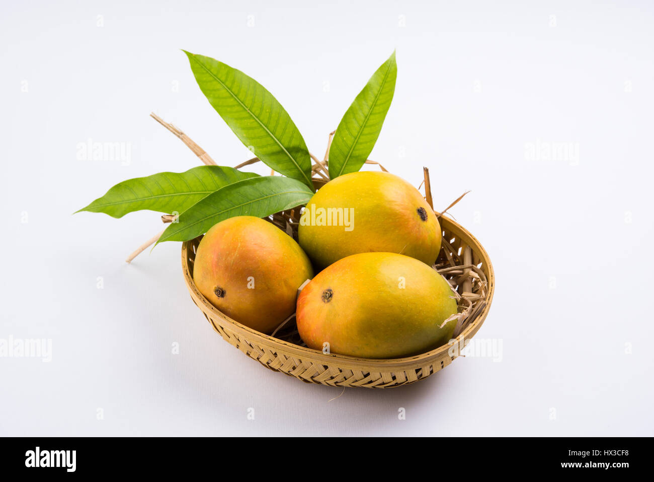 King of fruits; Alphonso yellow Mango fruit duo with stems and green ...