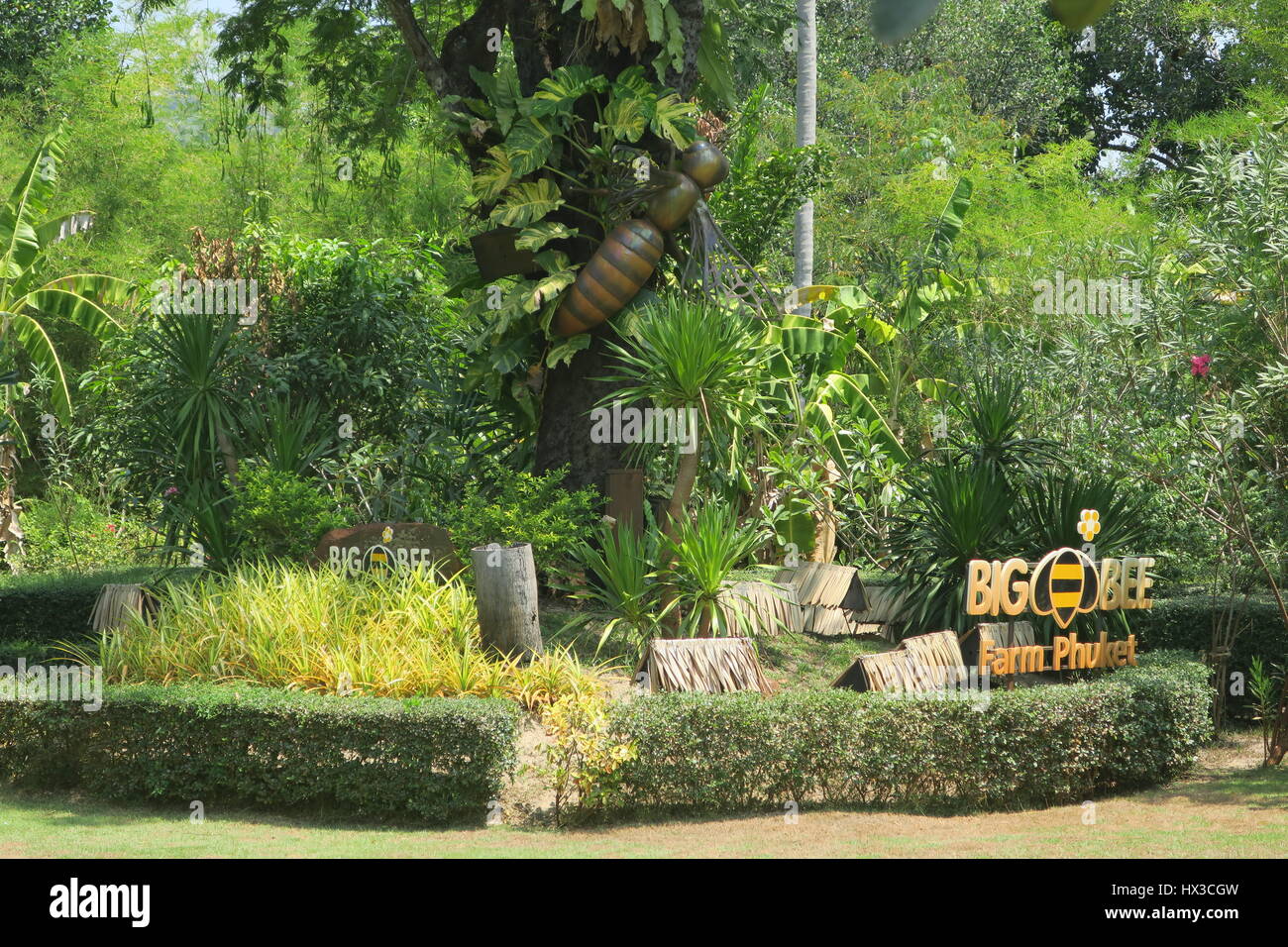 Big bee farm on Phuket Stock Photo - Alamy