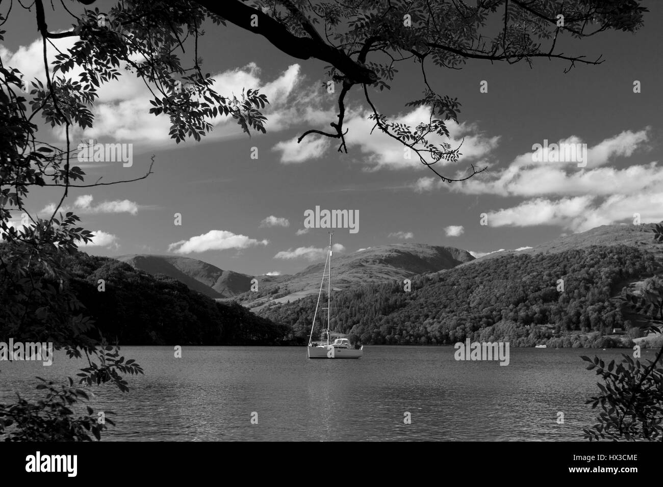 Sail boat on Lake Windermere from Claife CP area Lake District Cumbria ...