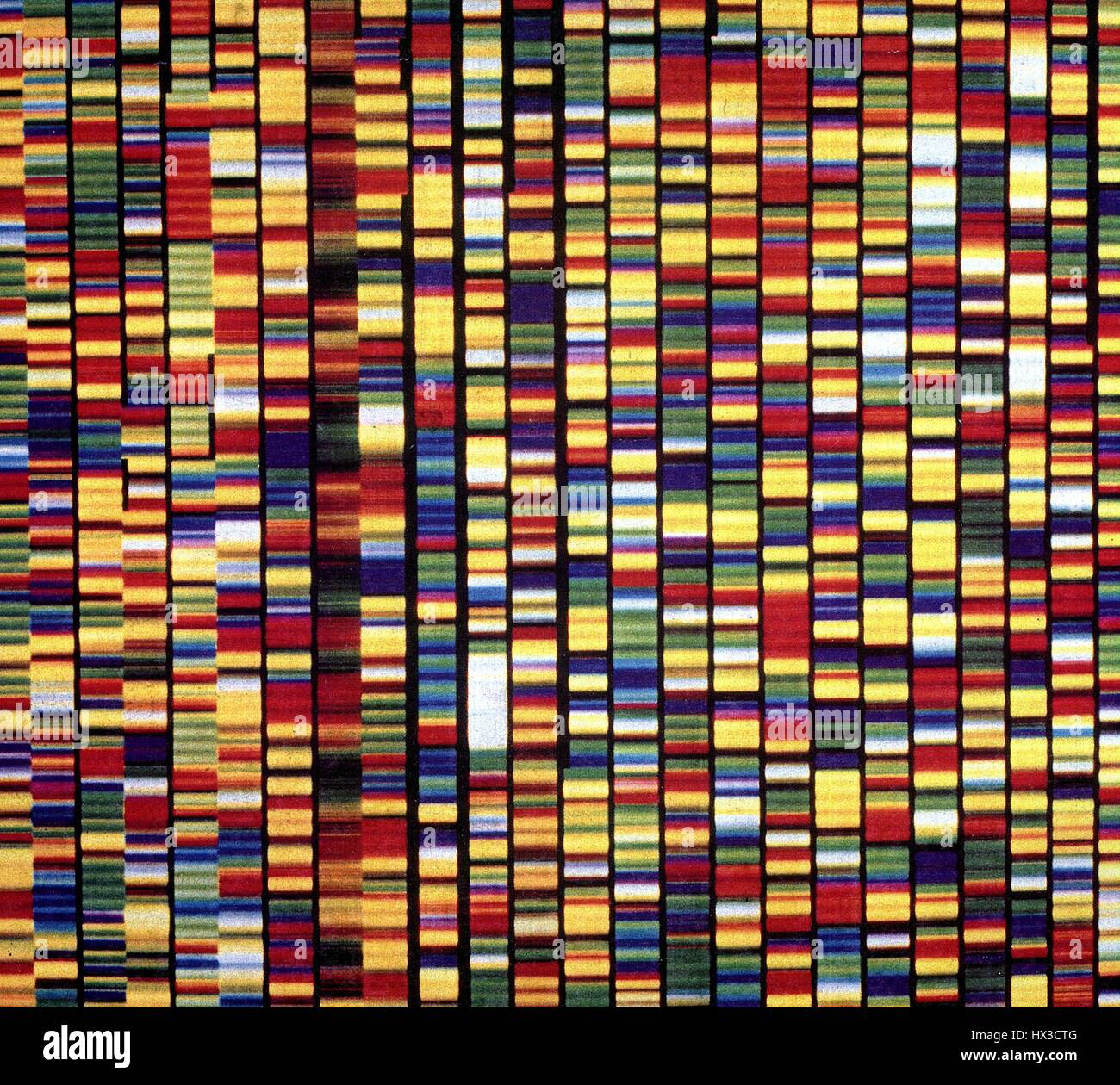 Applied Biosystems High Resolution Stock Photography and Images - Alamy