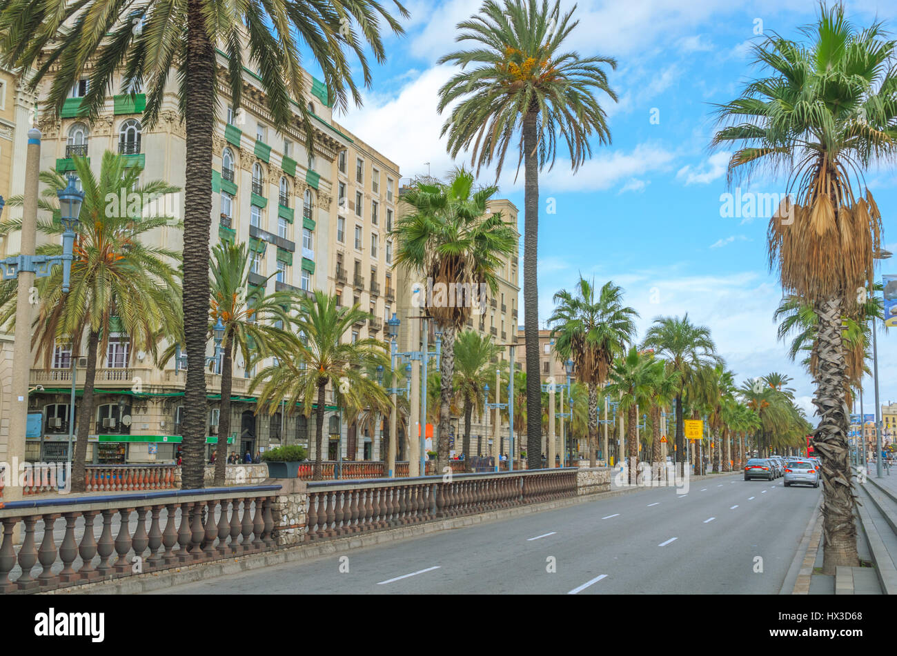 Cars in the street, late afternoon in Barcelona. Palm tree-lined street ...