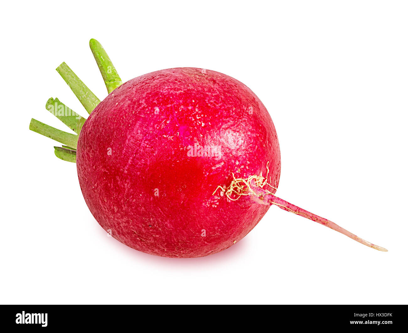 Fresh radishes isolated on white Stock Photo - Alamy