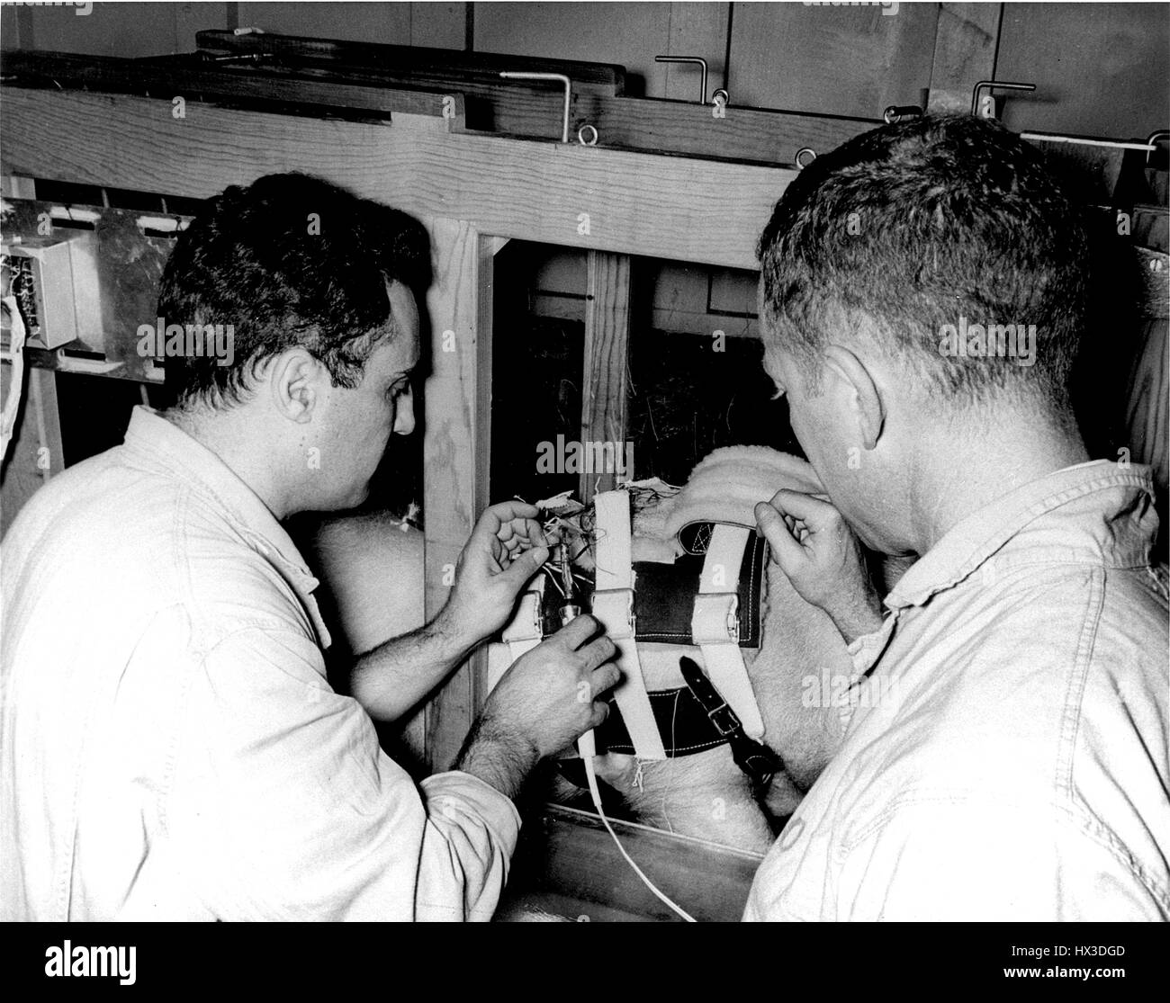 Plugged-in pigs are being used in studies related to development of an ...