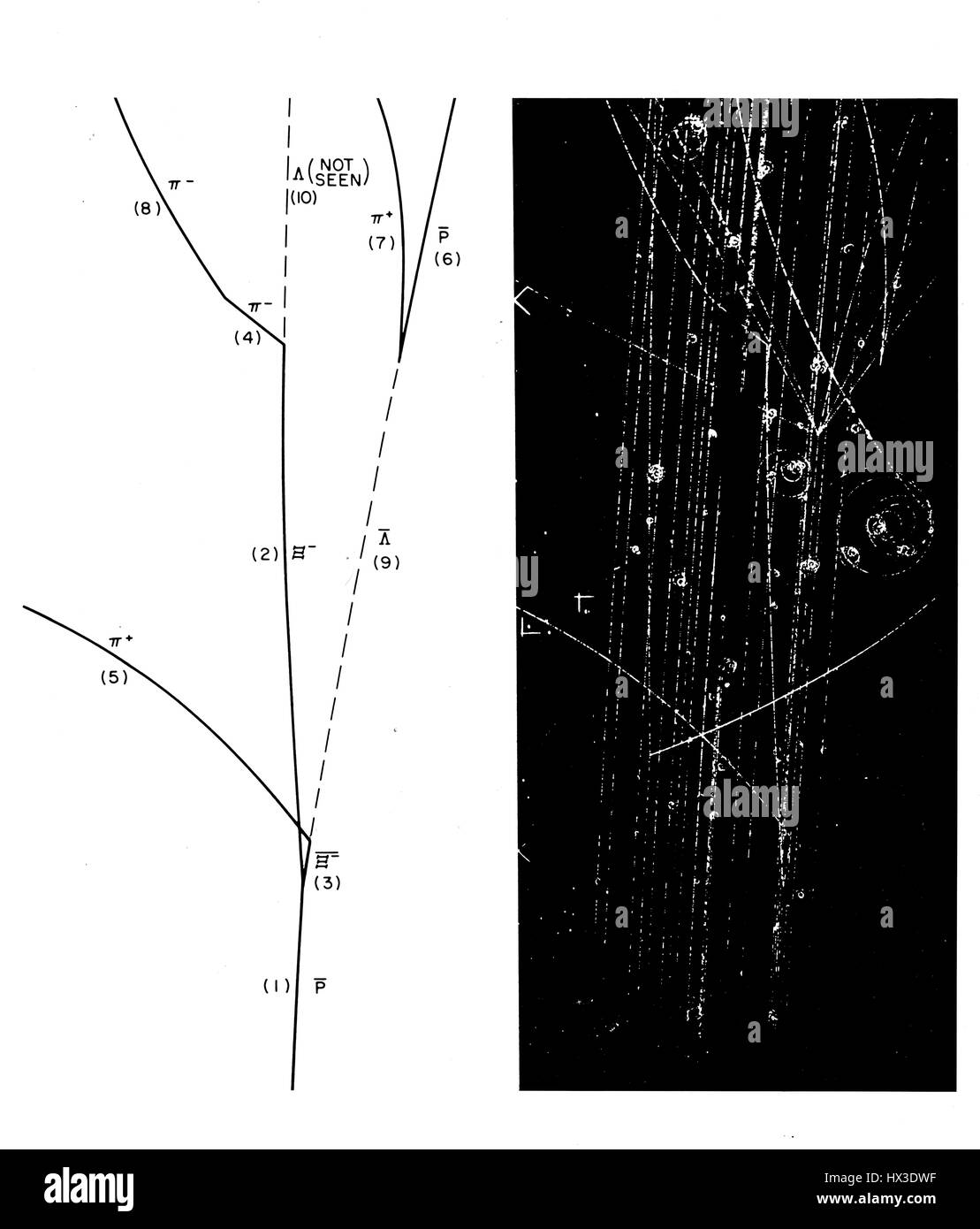 Liquid hydrogen bubble chamber photograph of an anti-proton colliding ...