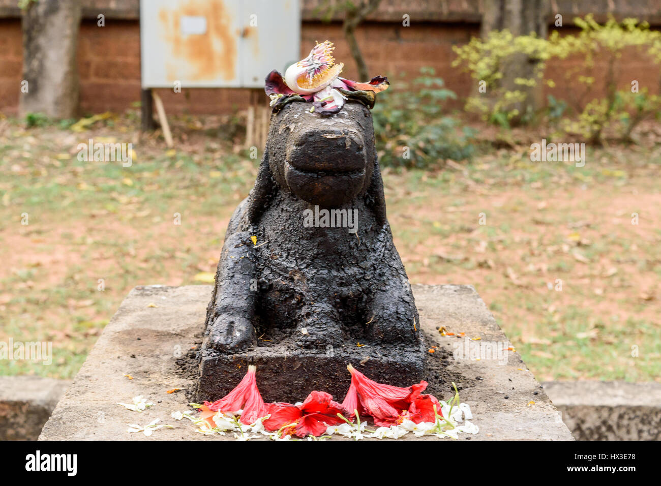 The statue of Nandi. Nandi is the name for the bull and Vahana of the ...