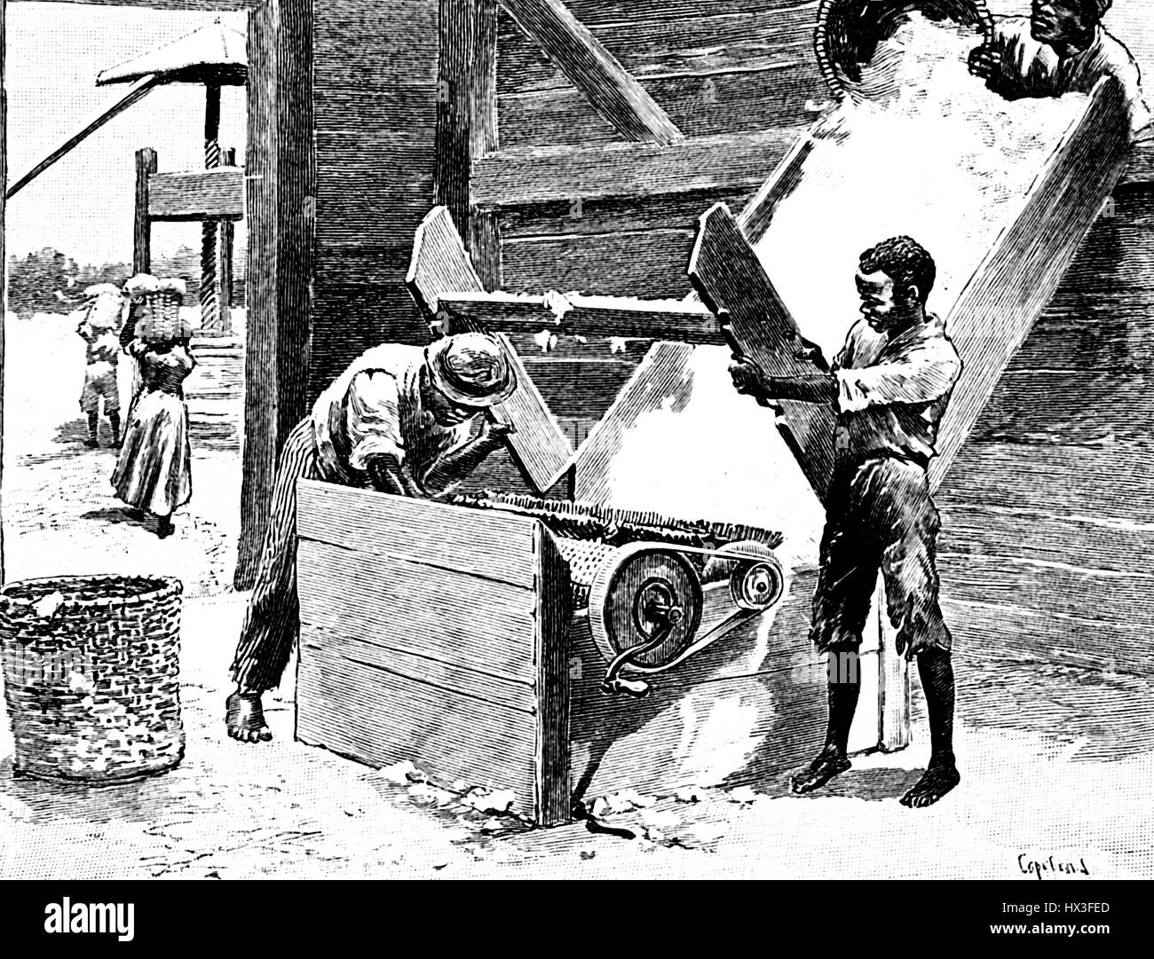 Cotton Gin Slaves Coping