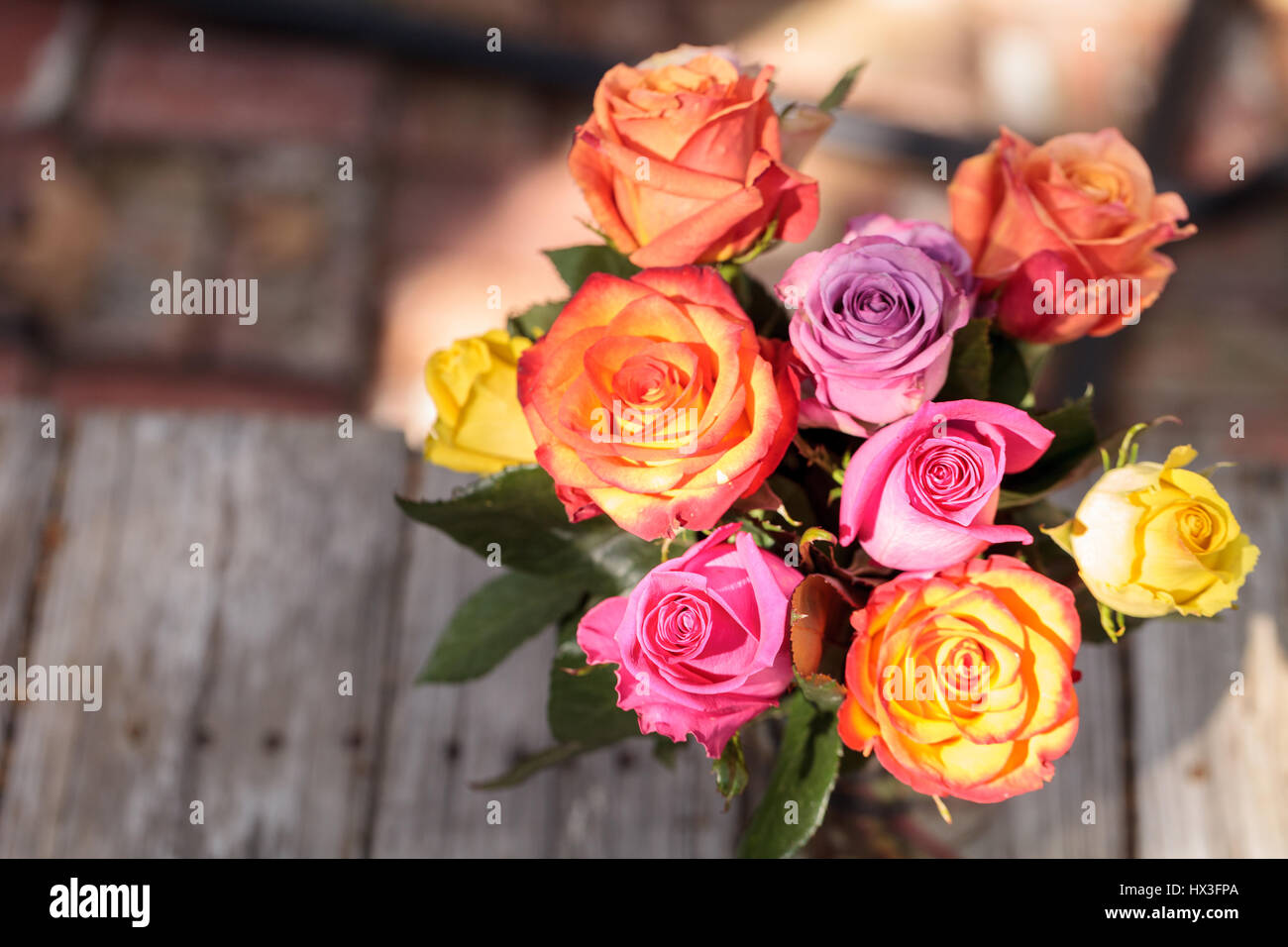 Roses in a rainbow of colors including pink, orange, red and yellow in ...