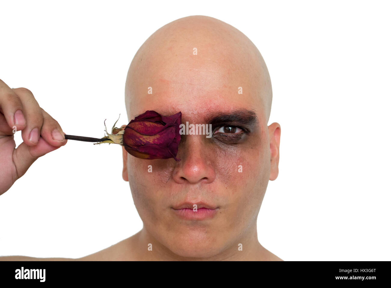 Joker rose hi-res stock photography and images - Alamy