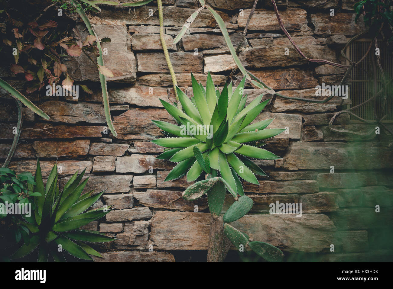German Plant Life