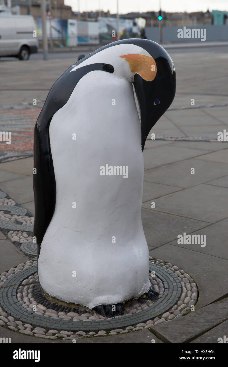 The dundee penguins hi-res stock photography and images - Alamy