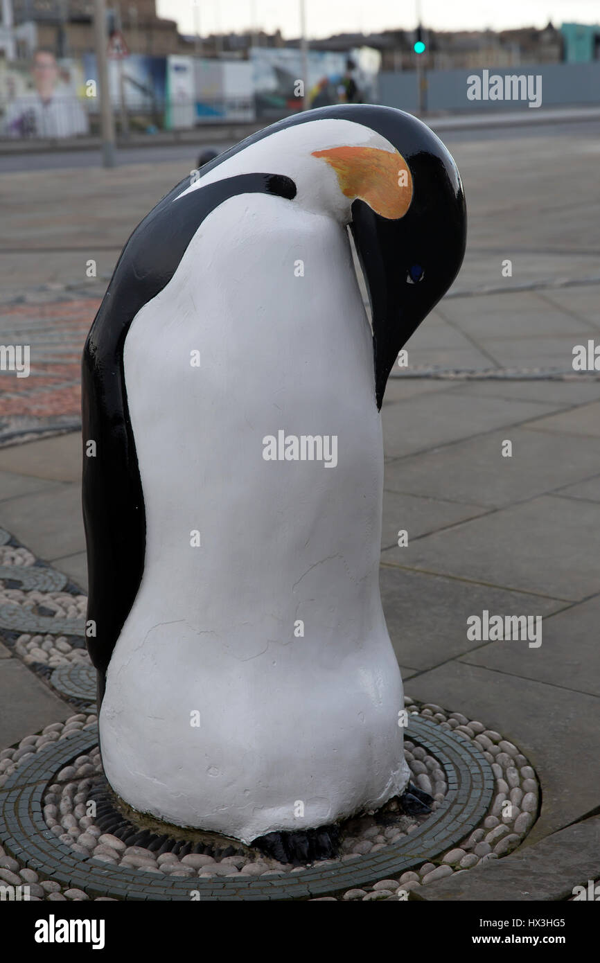 The dundee penguins hi-res stock photography and images - Alamy