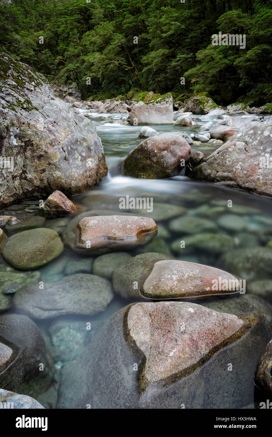 Monkey creek hi-res stock photography and images - Alamy