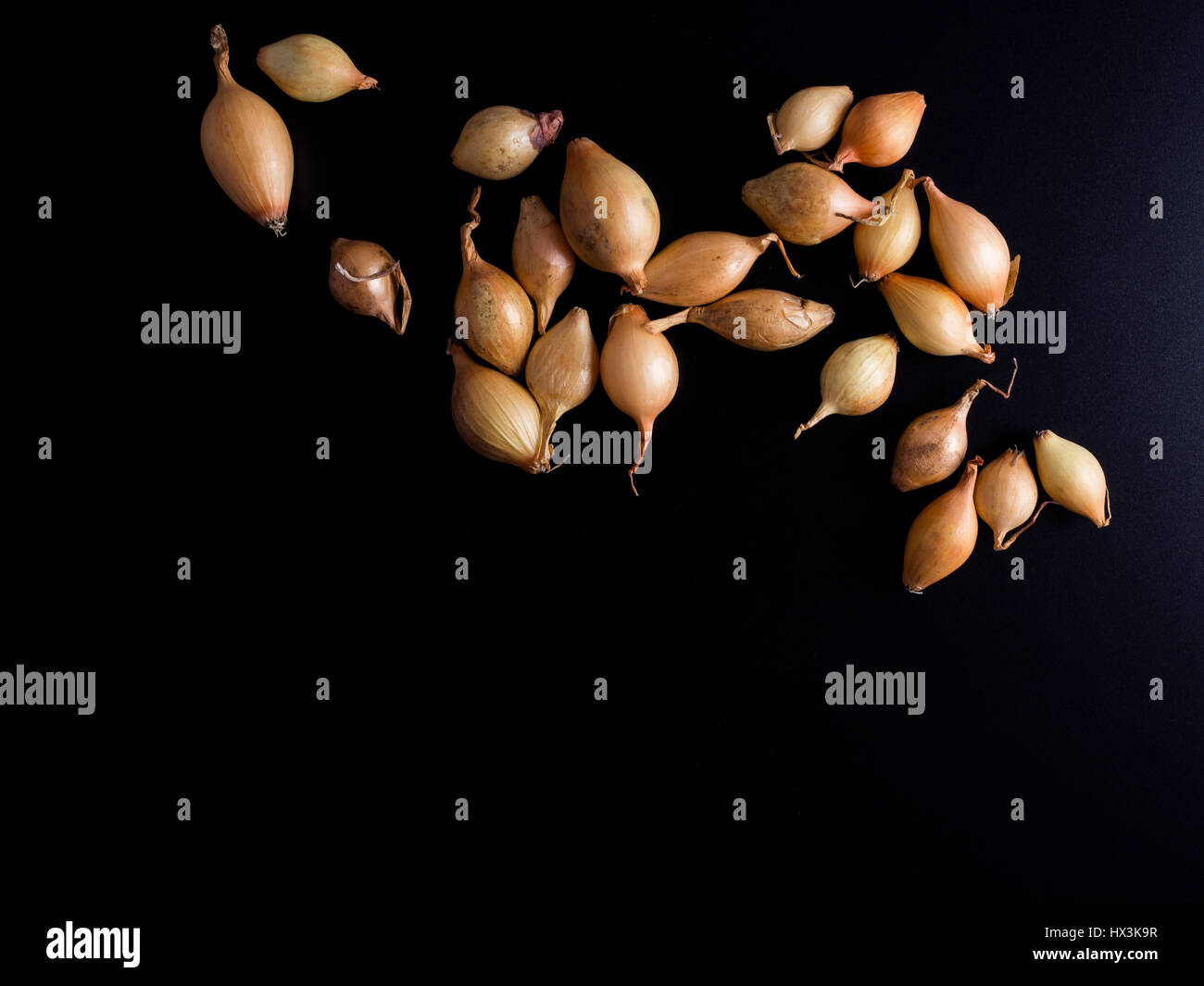 small onions isolated on black background Stock Photo - Alamy