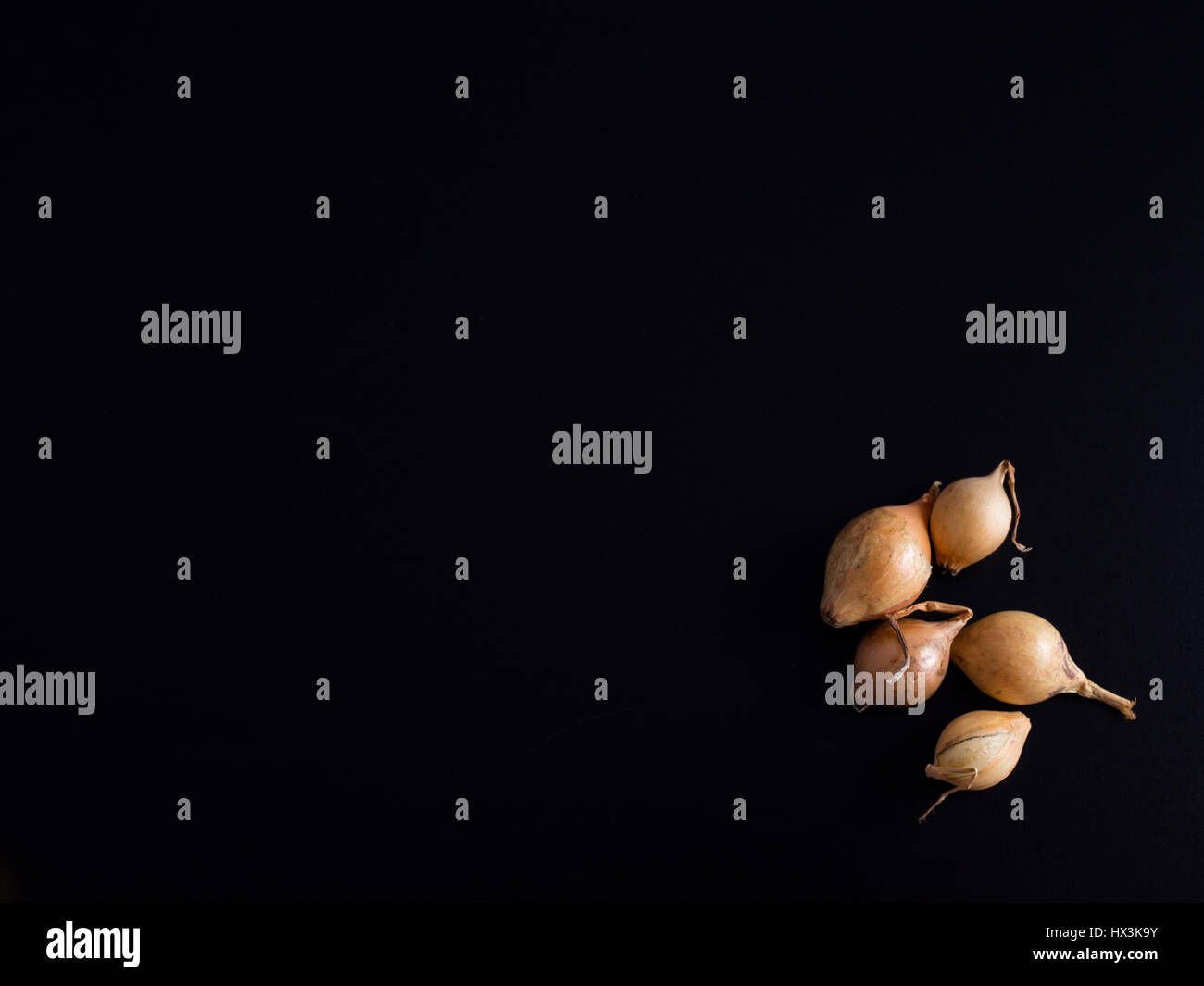 small onions isolated on black background Stock Photo - Alamy