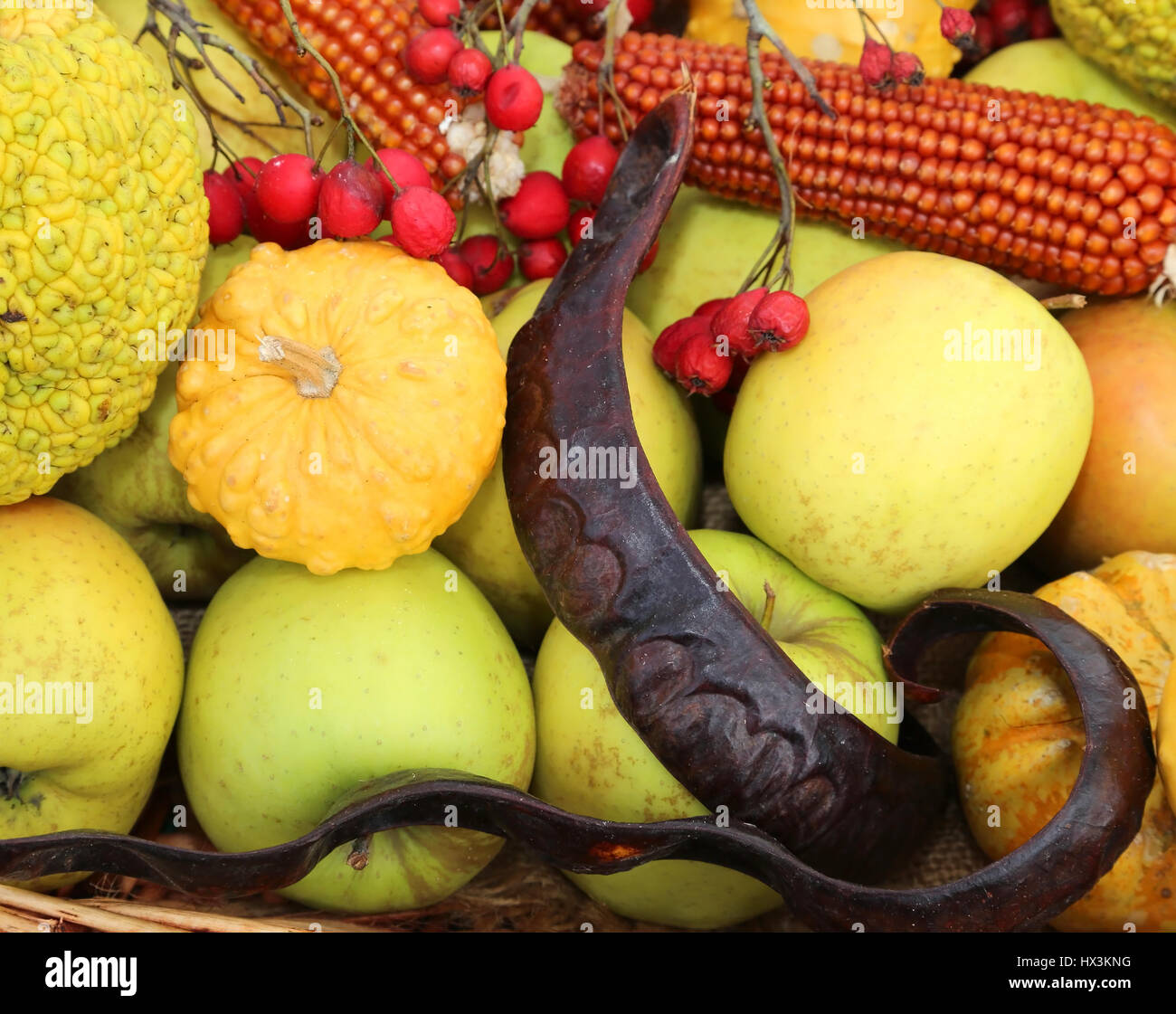 carob cobs apples and other seasonal fruits in the basket Stock Photo ...