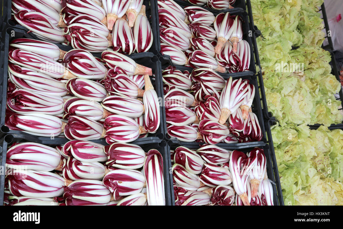 clumps of purple Treviso radicchio in a vegetable market Stock Photo ...