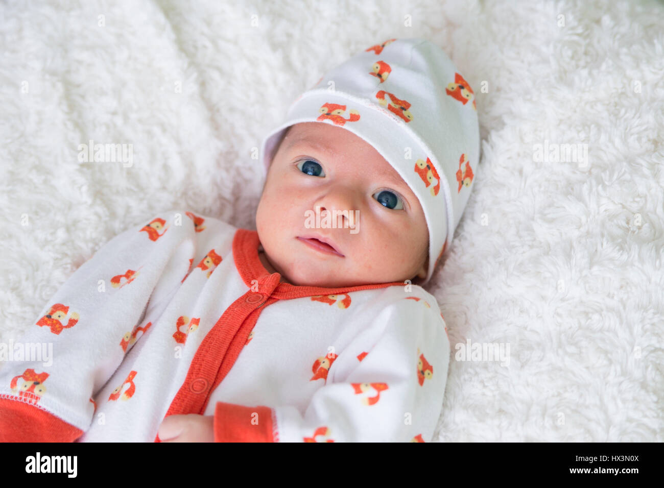 Cute baby boy Stock Photo - Alamy