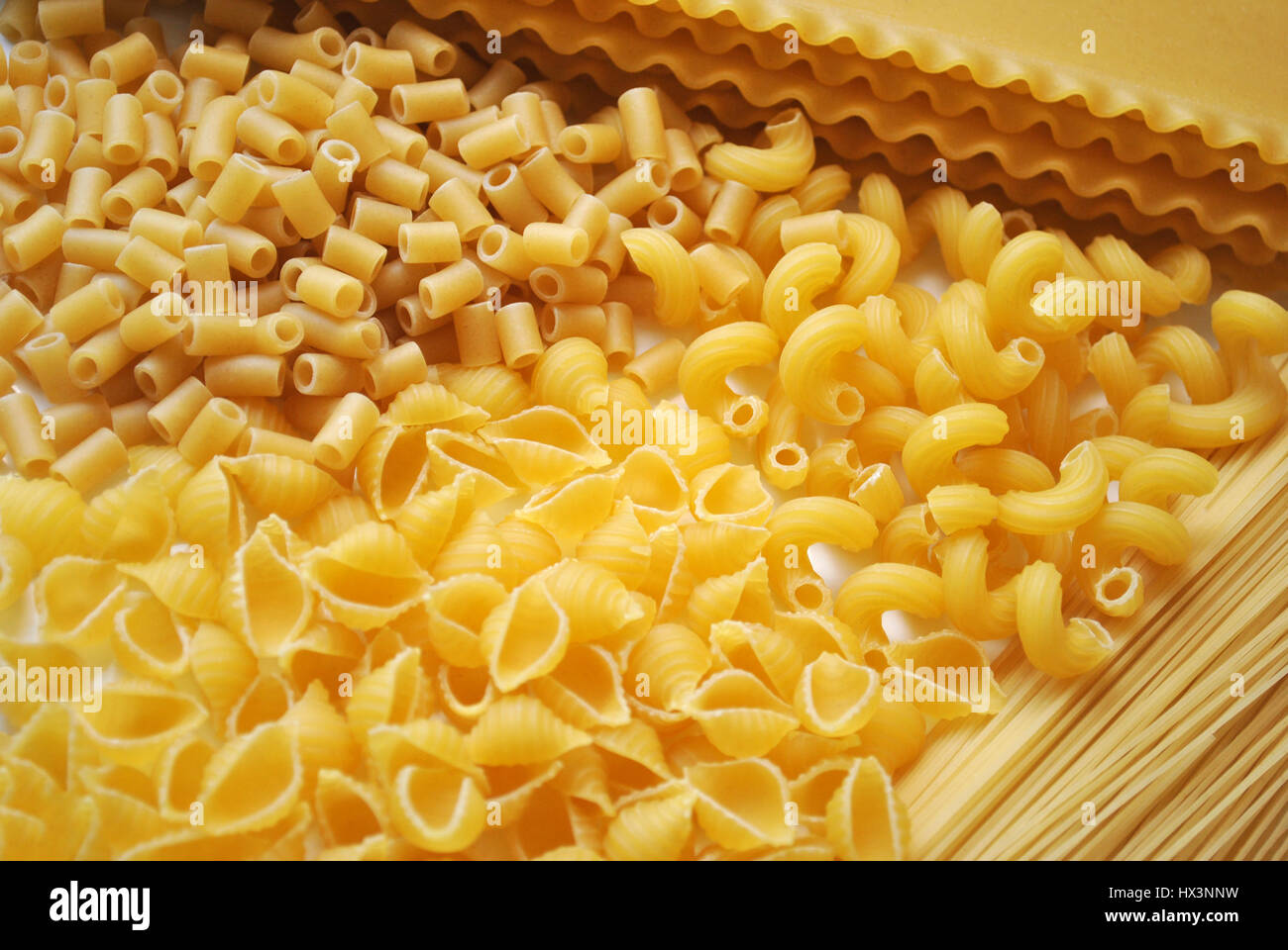 Different types of shells hi-res stock photography and images - Alamy