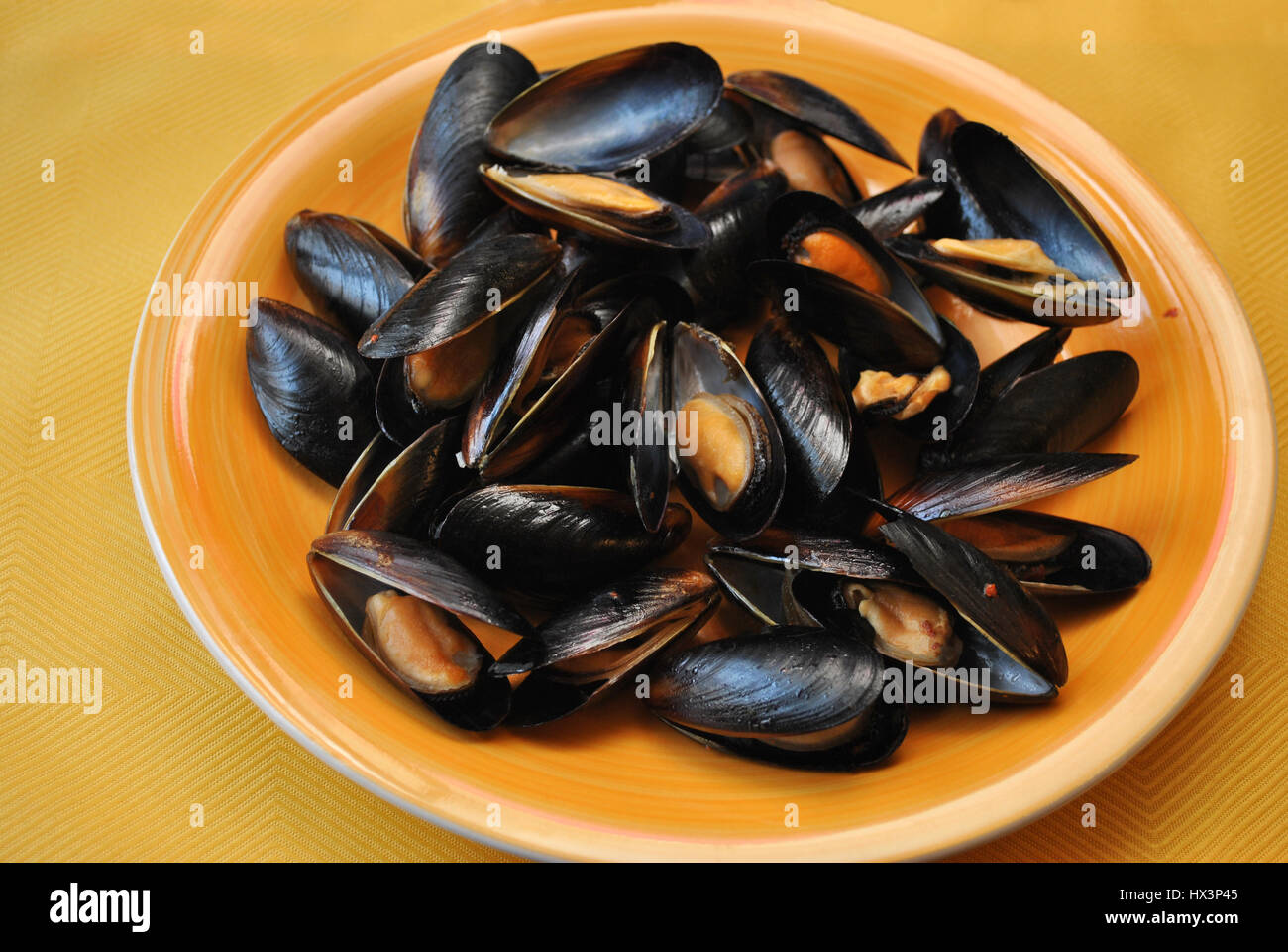 Common mussel shells hi-res stock photography and images - Alamy