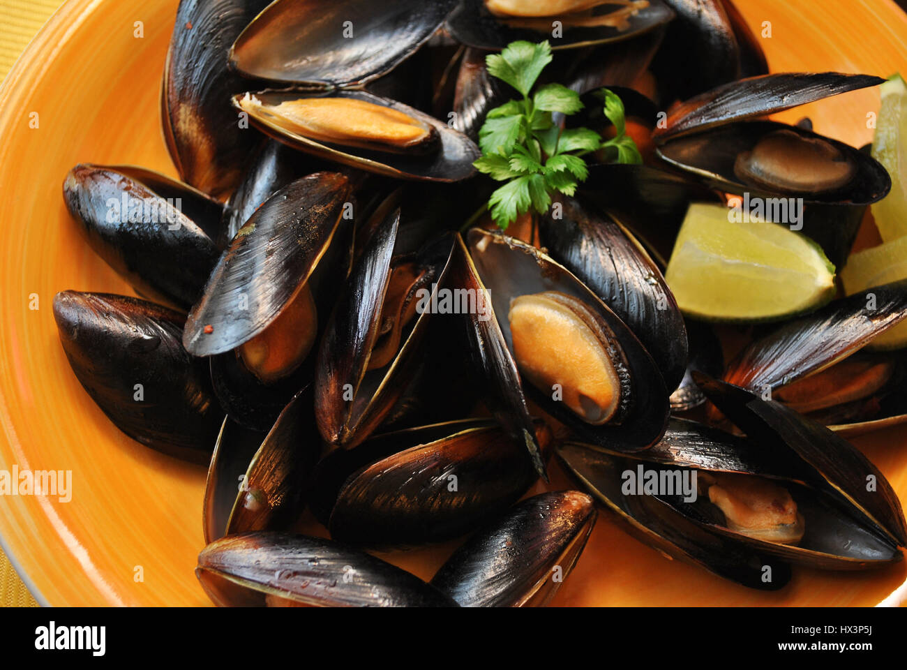Common mussel shells hi-res stock photography and images - Alamy