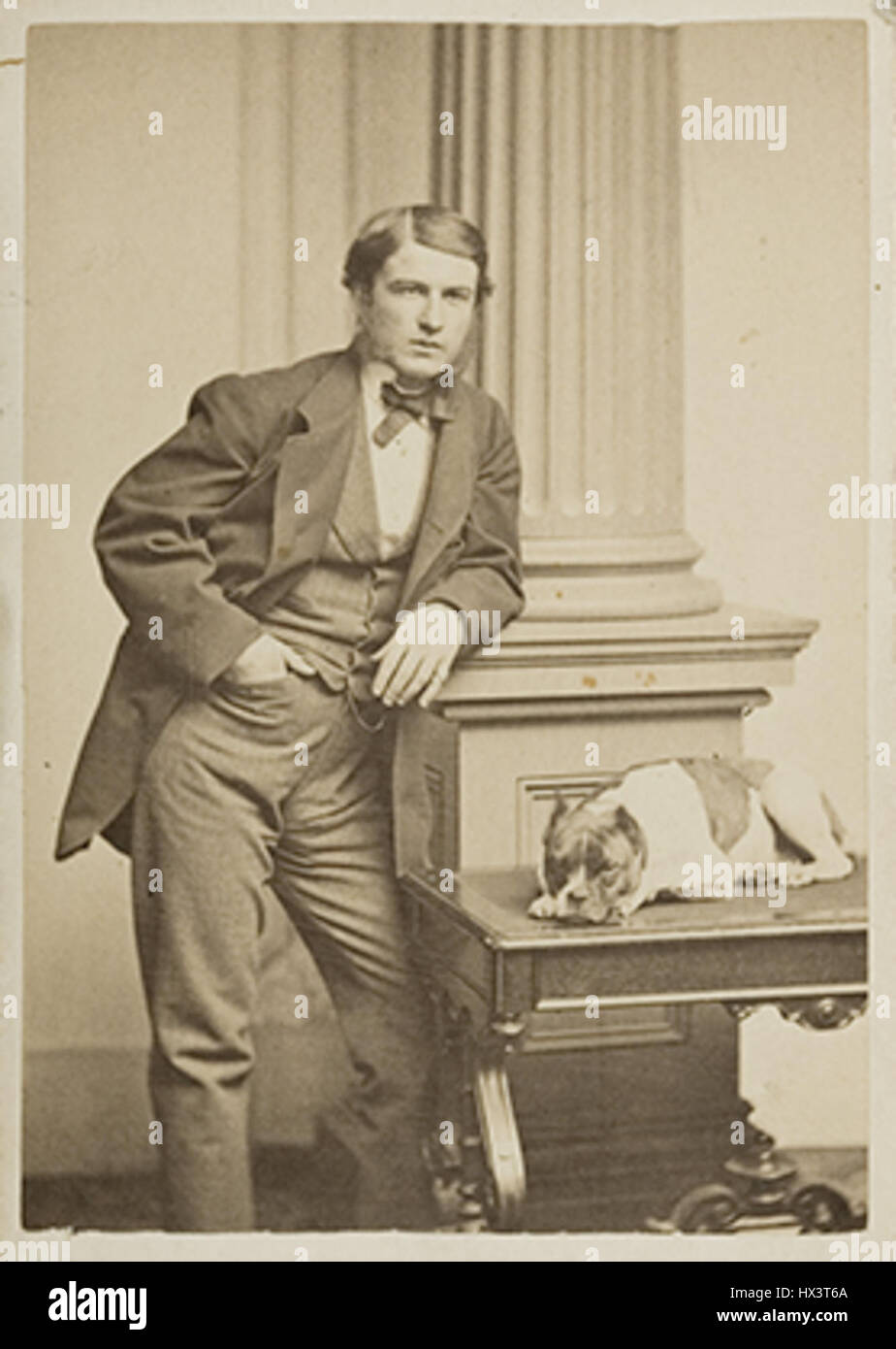HarrySturges 1860s byJAWhipple Harvard Stock Photo - Alamy