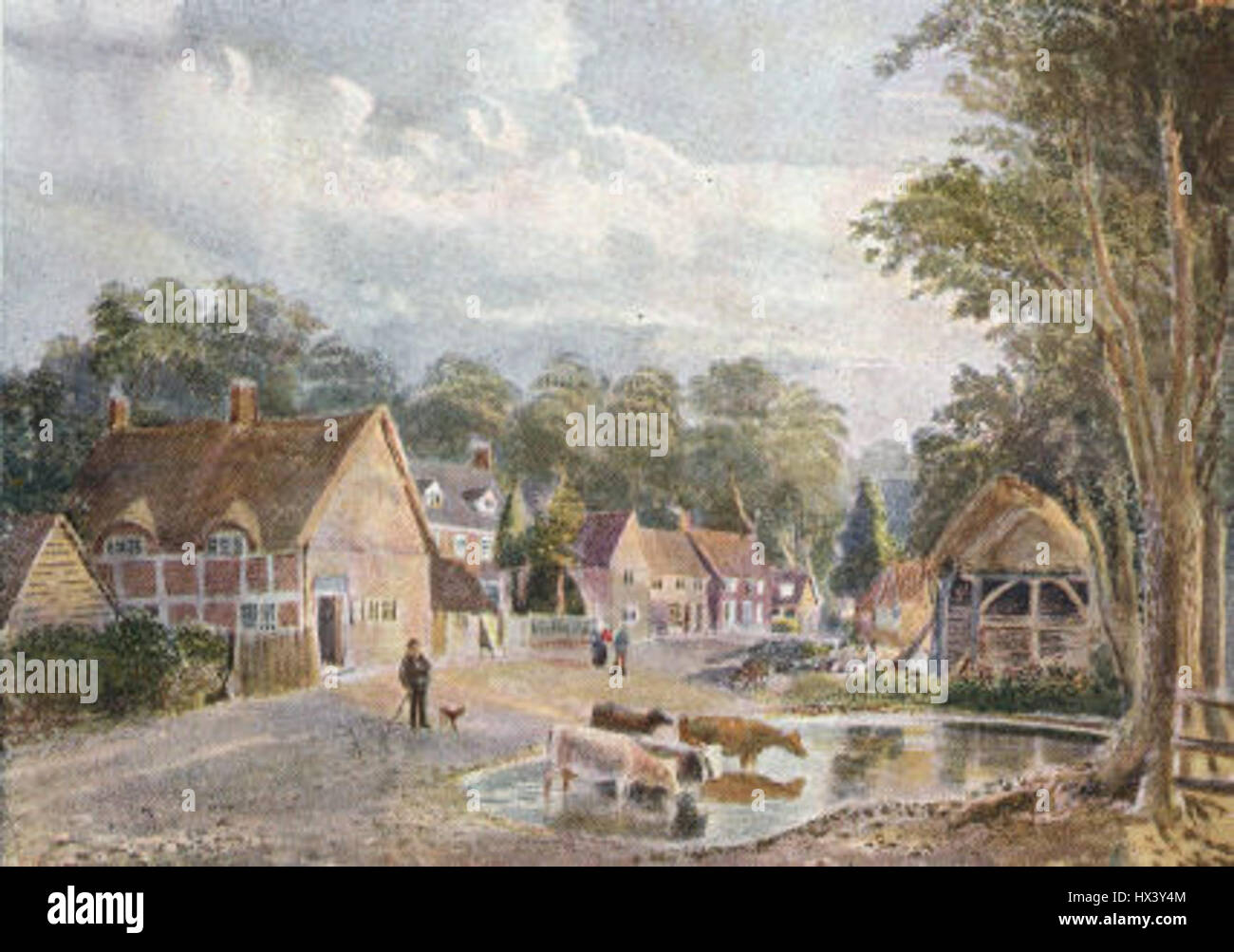 Gosmore hi-res stock photography and images - Alamy