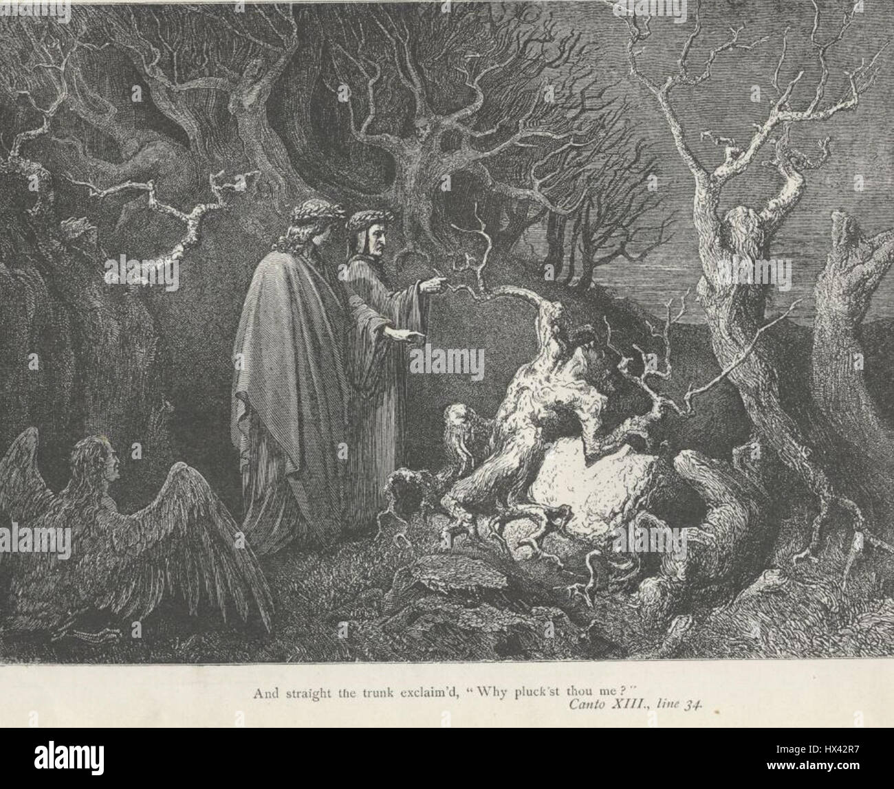 Inferno Canto 13 verse 34 Stock Photo - Alamy
