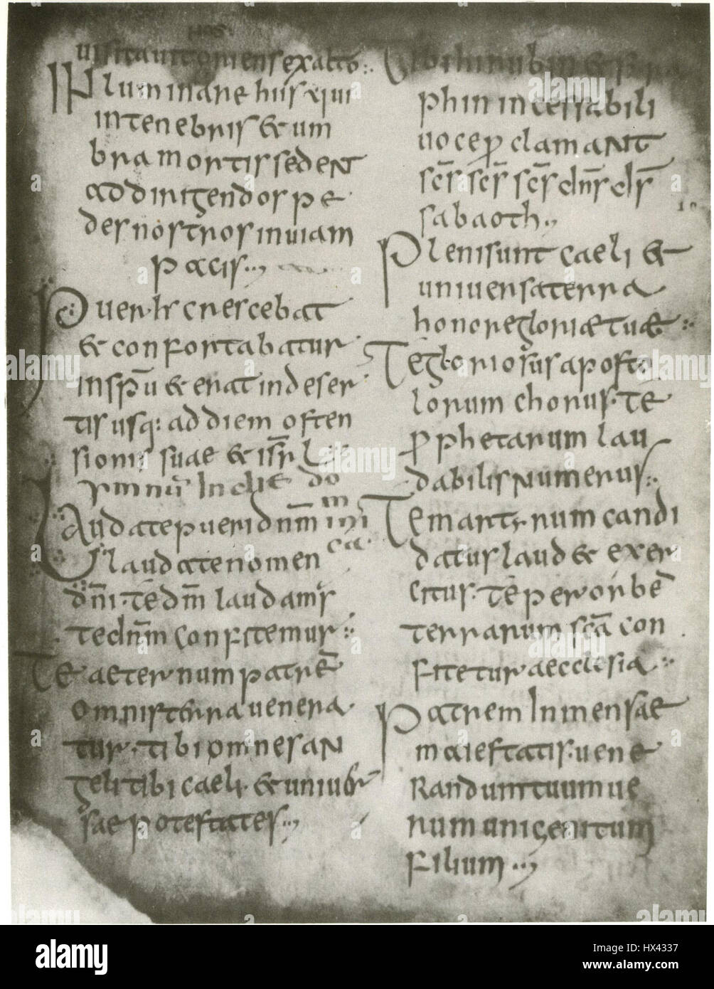 Insular Script, Ms. Milan, C 5 inf., fol. 10r Stock Photo - Alamy