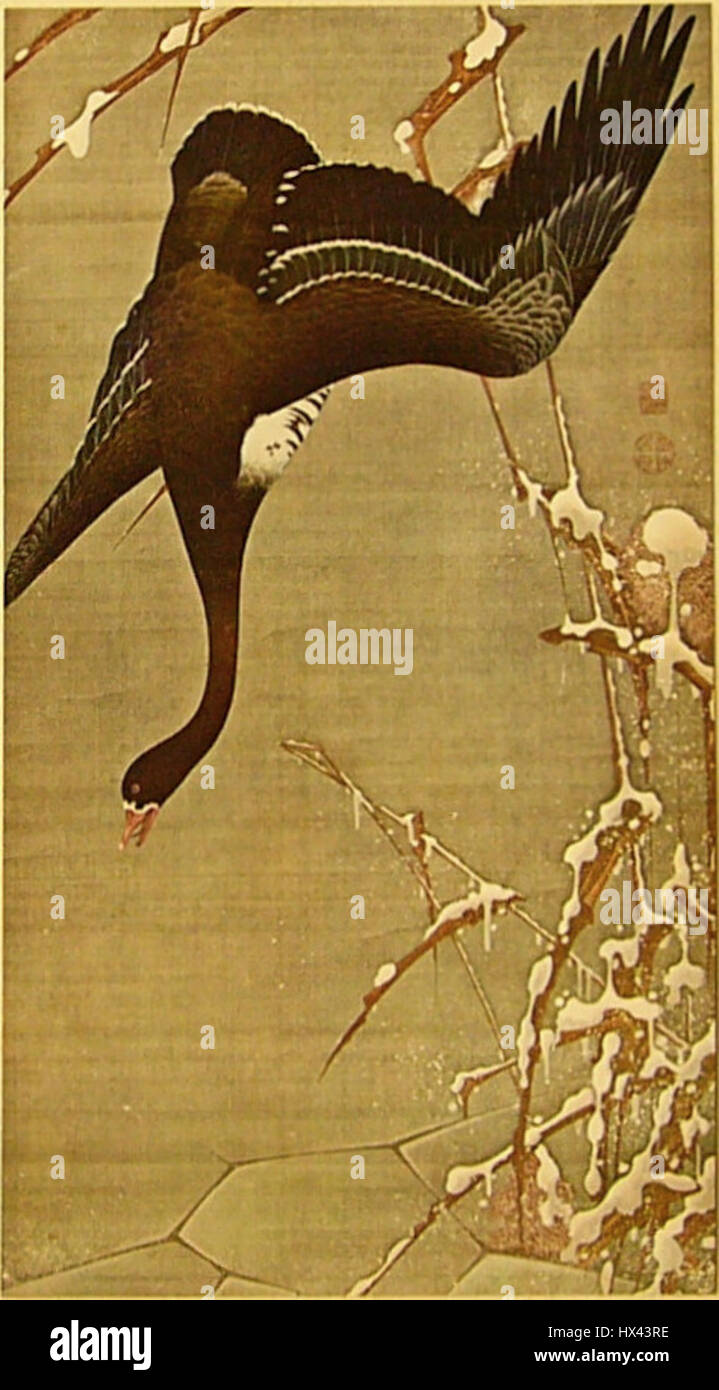 Ito jakuchu hi-res stock photography and images - Alamy