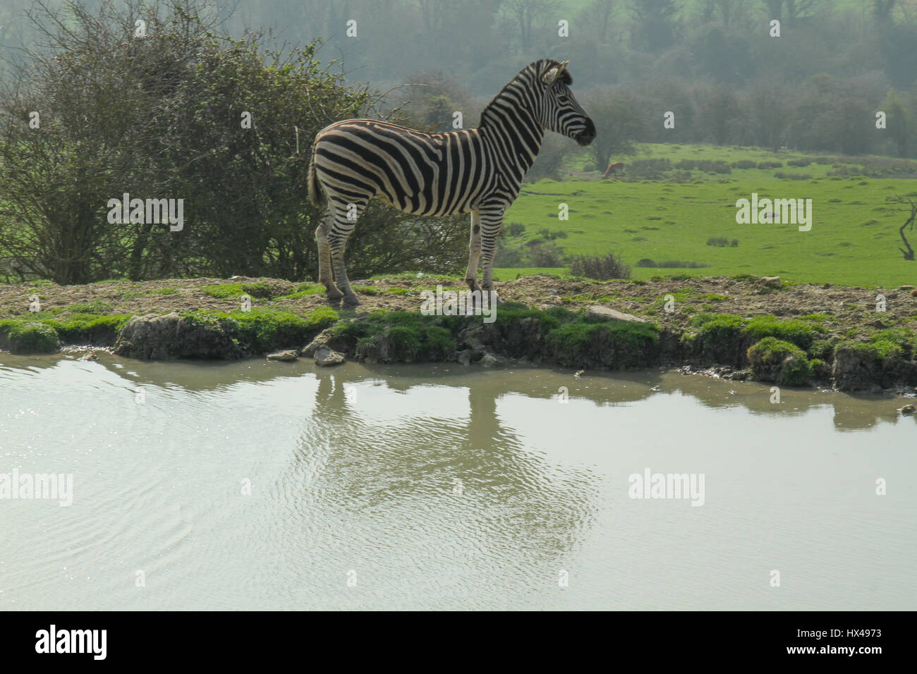 Port lympne mansion hi-res stock photography and images - Alamy